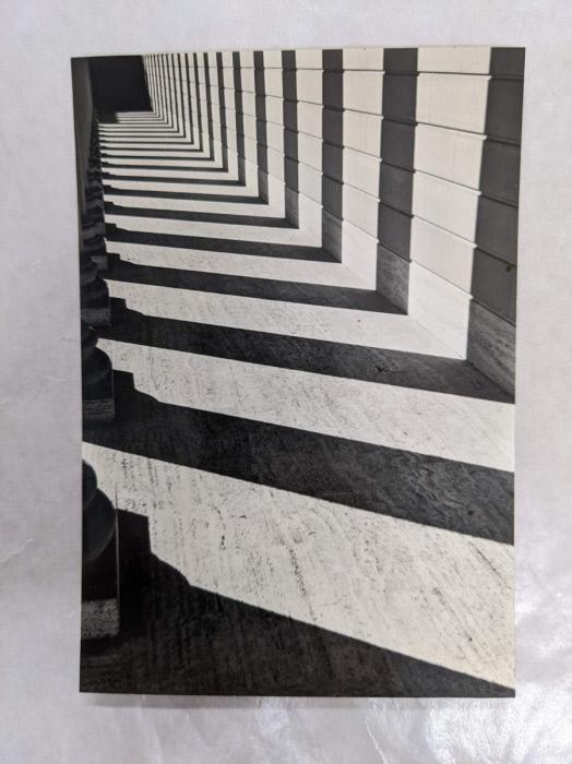 Light study of columns’ shadows - Nasher Museum of Art at Duke University